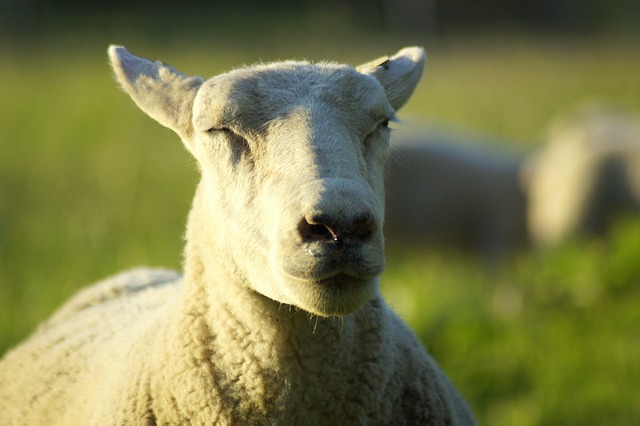 Knowing Him Is Rest – Feeding On Jesus